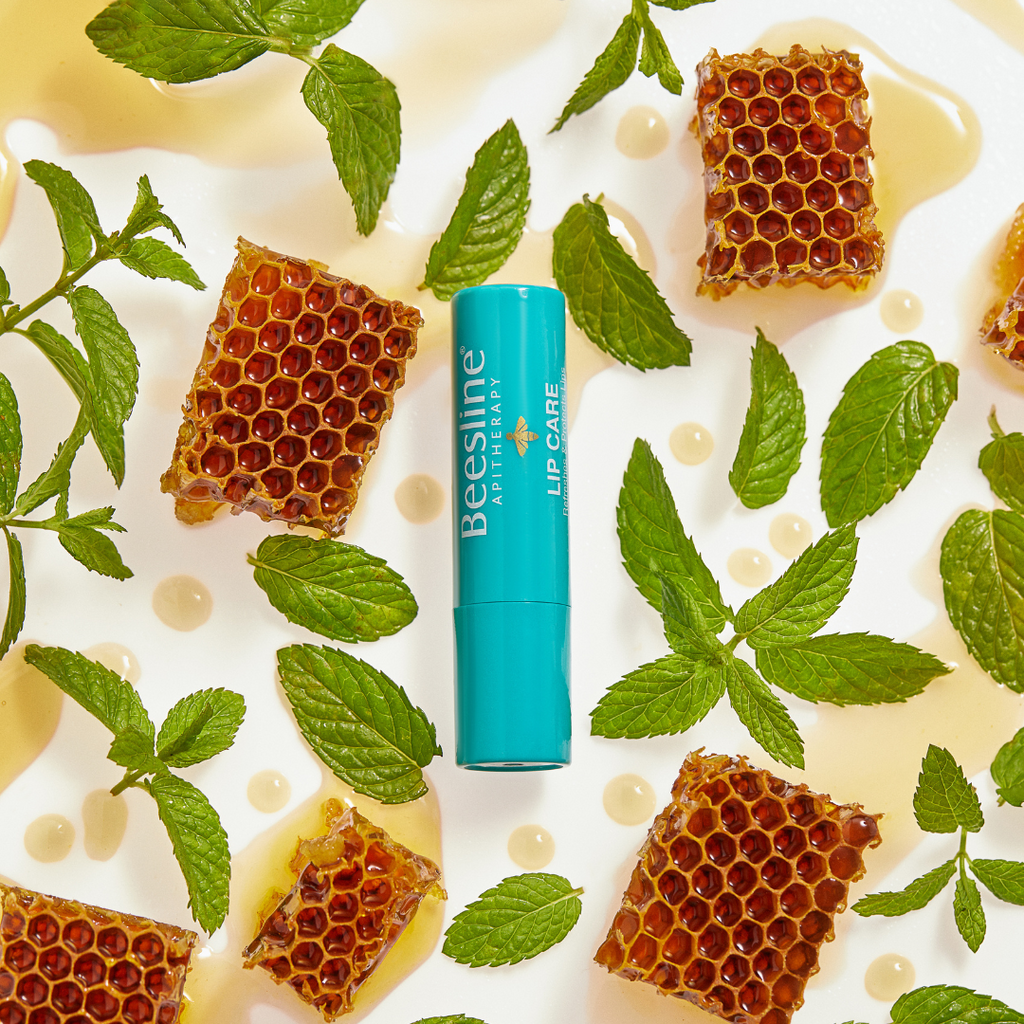 Beesline Lip Care Coolips 4g | Skin Care| feel22 | Lebanon – Feel22